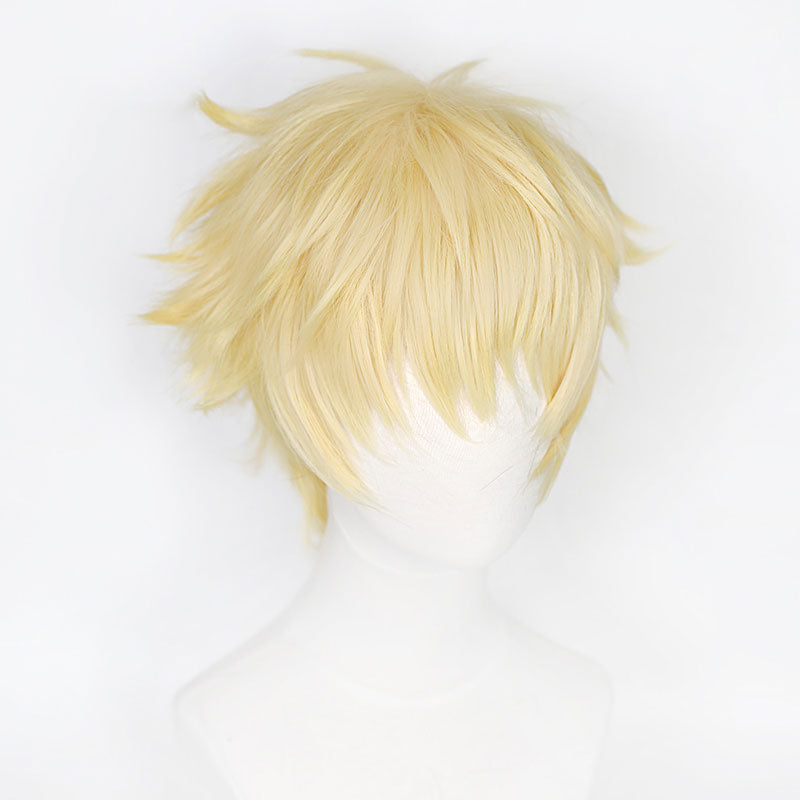 Skip and Loafer Sosuke Shima Cosplay Wig – Winkcostumes